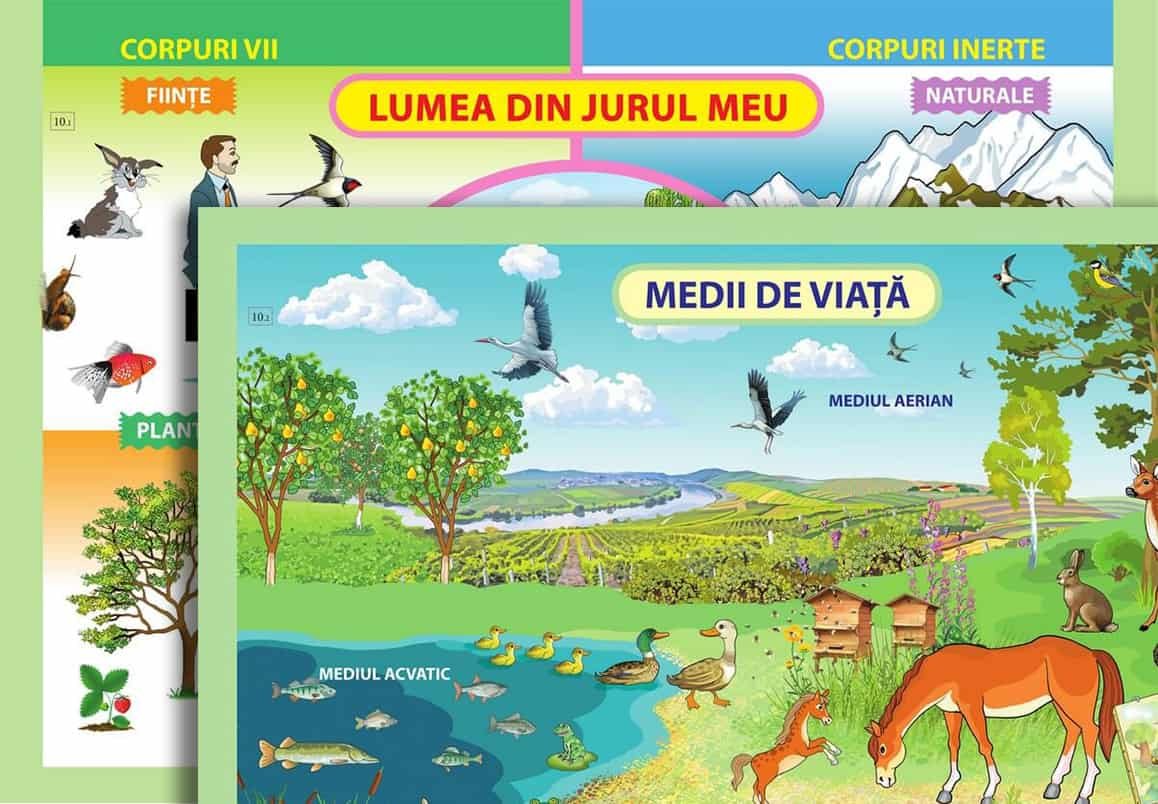 Lumea din jur, Medii de viață; planșe - Editura Epigraf